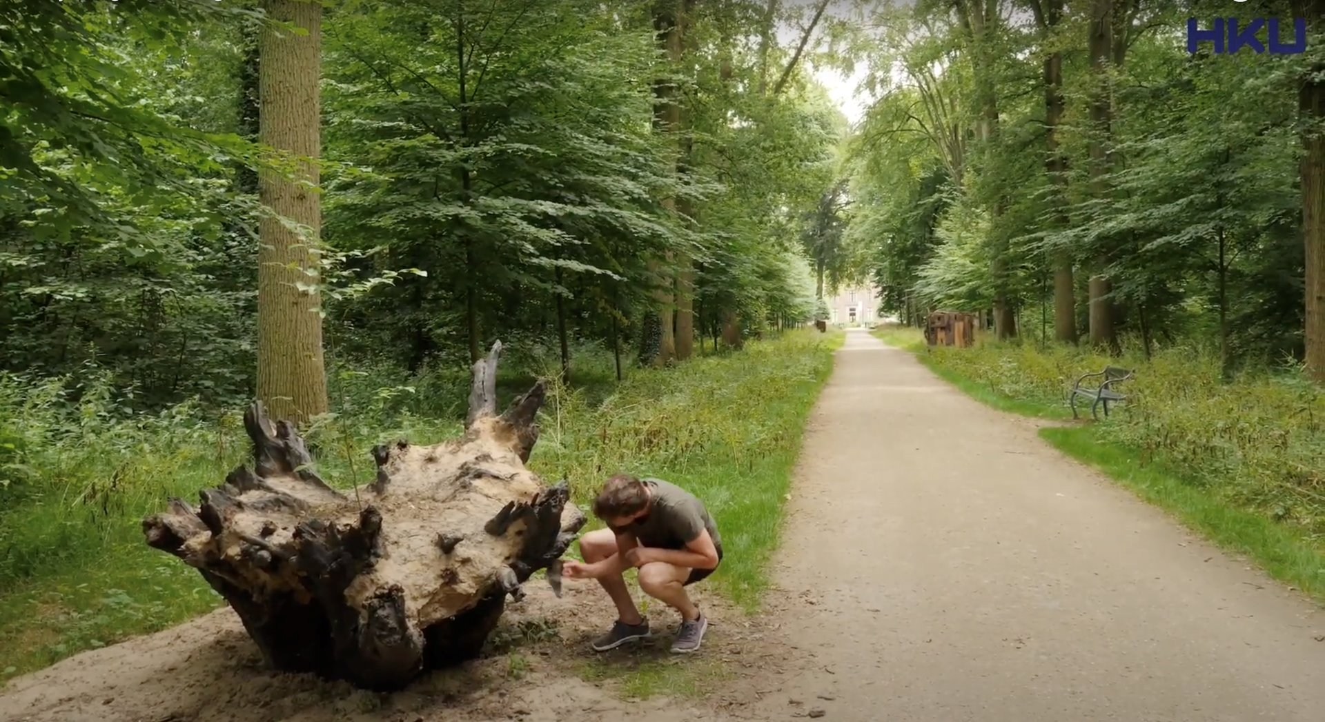 GROWING STRUCTURES: sculpturen op Landgoed Amelisweerd | HKU