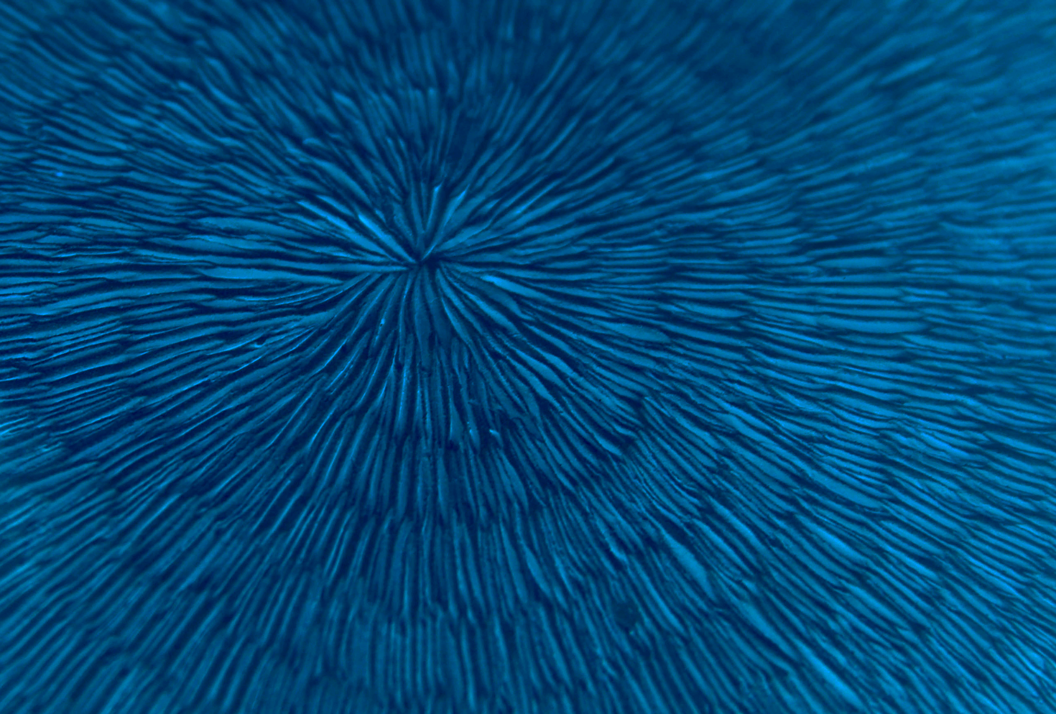 Blokfluitklas Robert de Bree | HKU