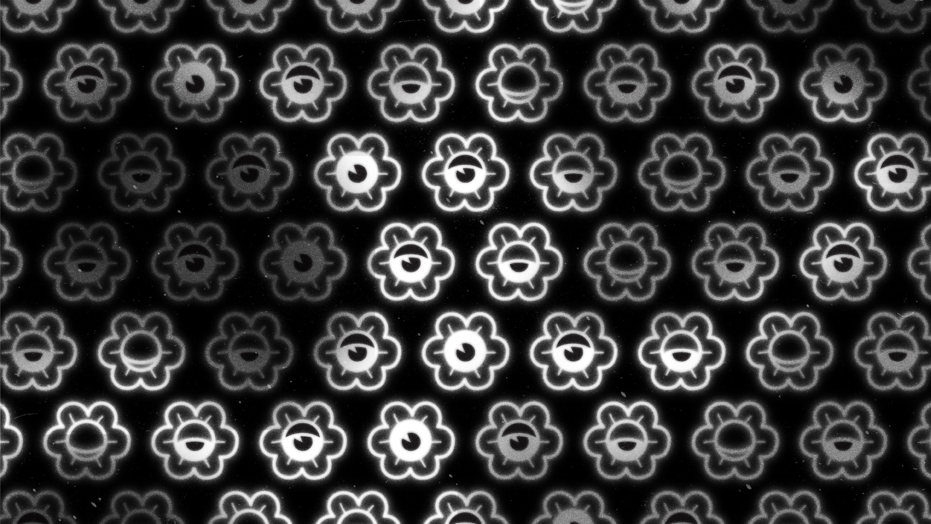 Opening academic year 23/24 and HKU Awards 2023 ceremony | HKU